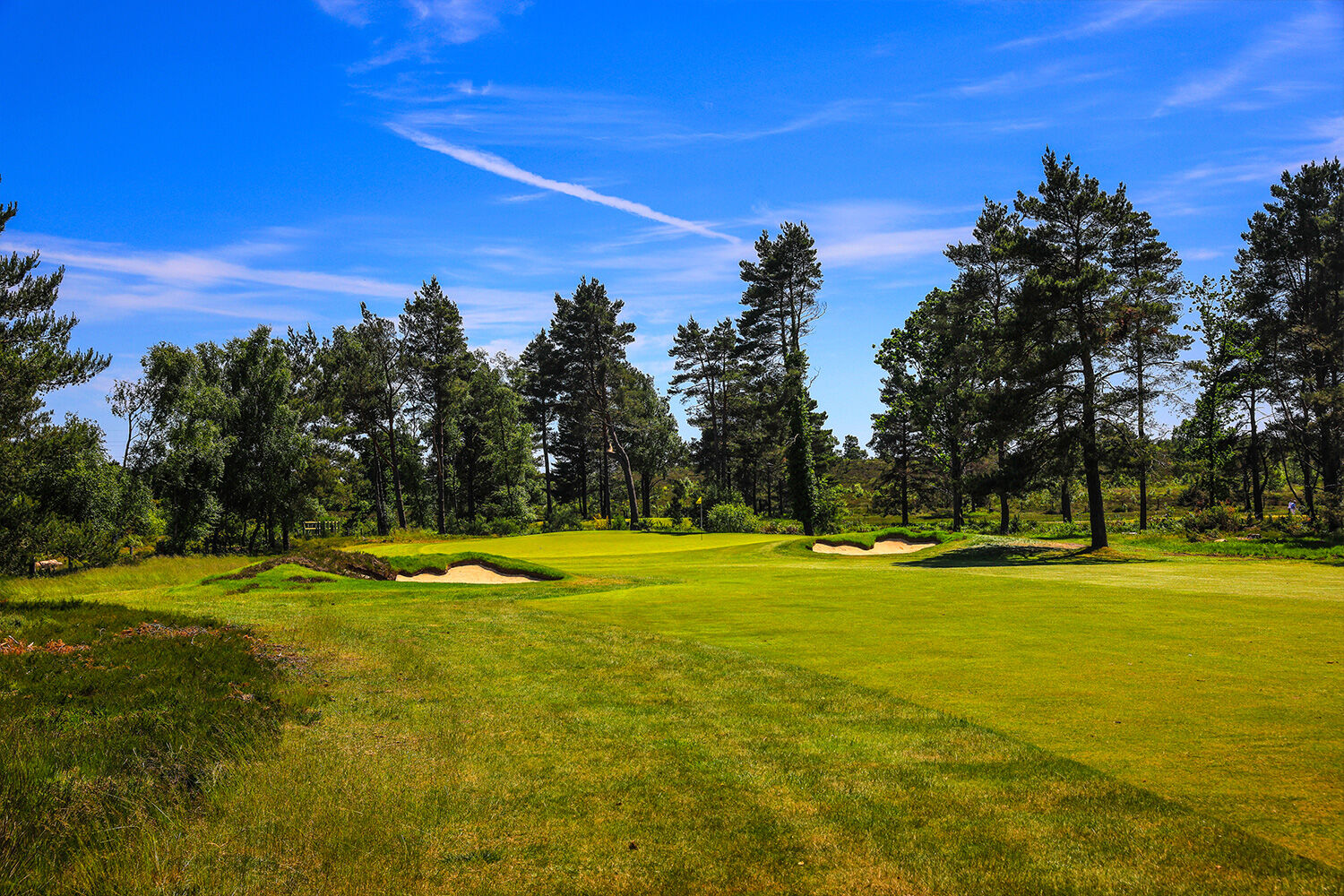 Ferndown – Golf Course Review – Golfer View