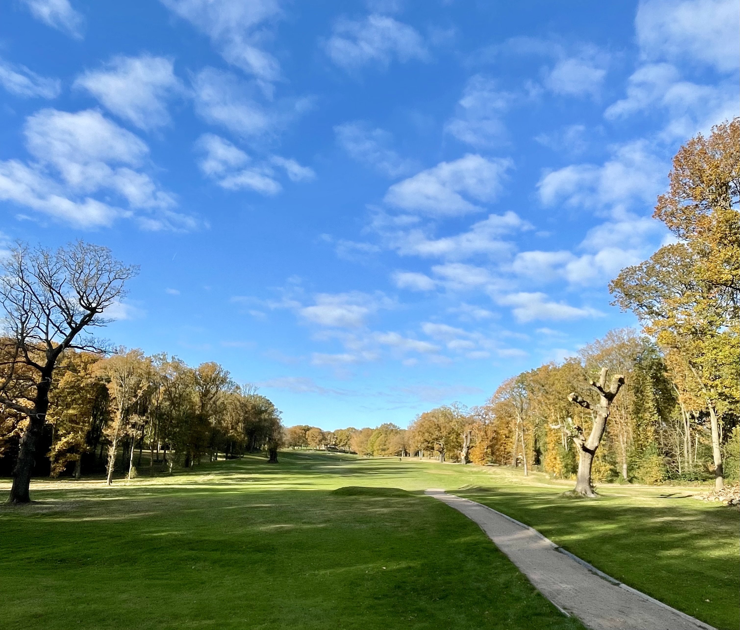 Thorndon Park – Golf Course Review – Golfer View